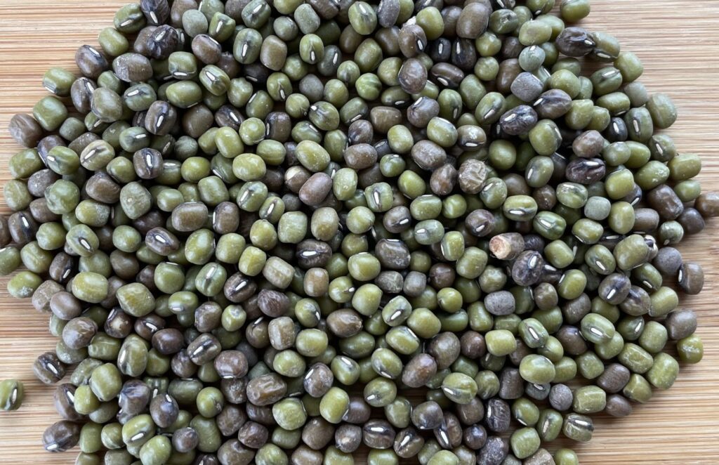 Green Mung Bean - Agrestal